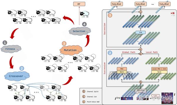 高效神经网络架构的正确打开方式! | EMO：结合 CNN 和 Transformer 的现代倒残差移动模块设计 - 知乎