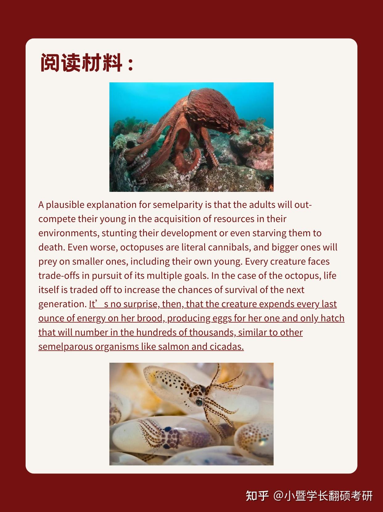【阅读材料分享】| Octopus Time by David Borkenhagen-Ⅳ - 知乎