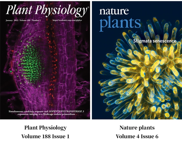 速！带你走进期刊封面的科学与艺术之美！ - 知乎