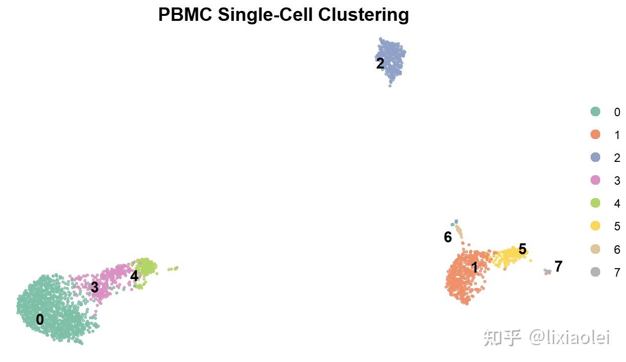 Seurat DimPlot 终极美化教程：从基础到高级，打造高颜值单细胞图谱 - 知乎