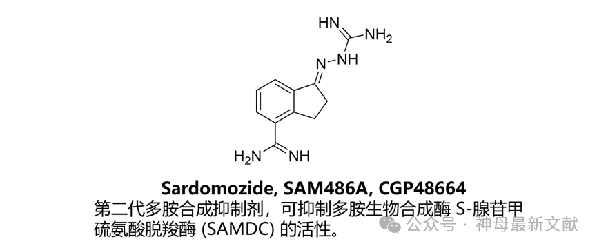 Dr. Sholler回顾DFMO临床前和临床研究│DFMO介导的多胺通路抑制：开创神经母细胞瘤治疗新格局 - 知乎