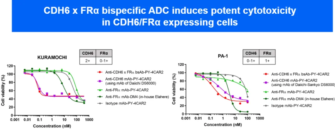 AACR2025：新型叶酸/CDH6双靶点+双毒素ADC克服传统ADC耐药，卵巢癌模型完全消退 - 知乎