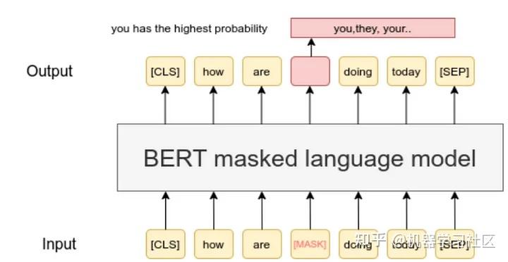 精通 BERT：从自然语言处理（NLP）初学者到高级的全面指南 - 知乎