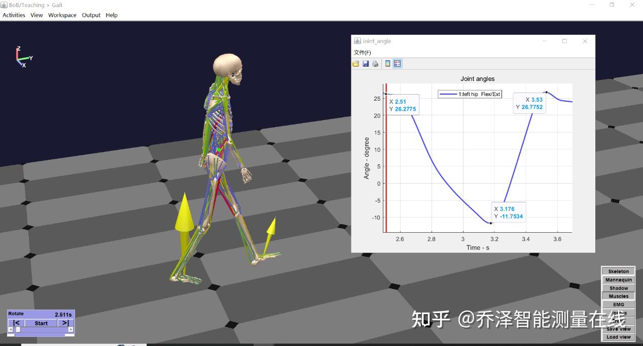 BOB教学版：与您一起发现使用人体运动生物力学模型学习的美妙！（探索步态运动） - 知乎