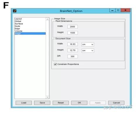 BrainNet Viewer:人类大脑连接的网络可视化工具 - 知乎