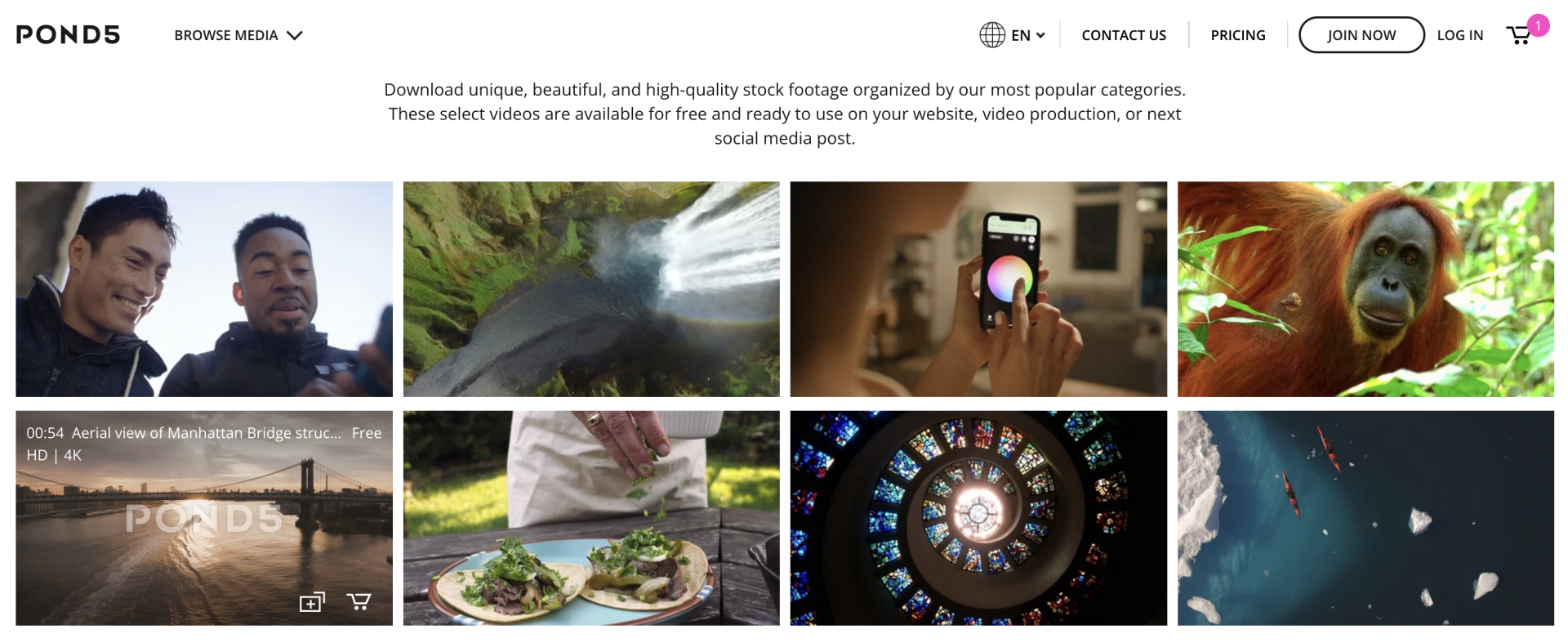 新片场素材独家代理Pond5，推动素材版权行业发展规范化 - 知乎