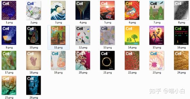 Science&Art Cell2022封面大赏（一），生物学前沿无与伦比的美！ - 知乎