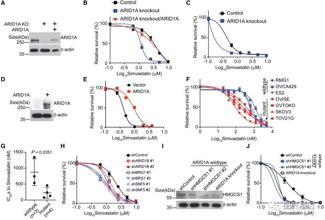 Cancer Cell ｜ 揭秘他汀类药物通过焦亡抑制癌症机制 - 知乎