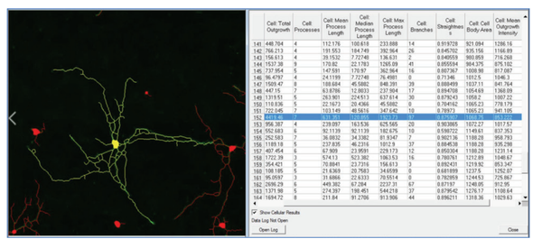 应用SpectraMax MiniMax细胞成像系统和MetaMorph软件测量神经突触 - 知乎