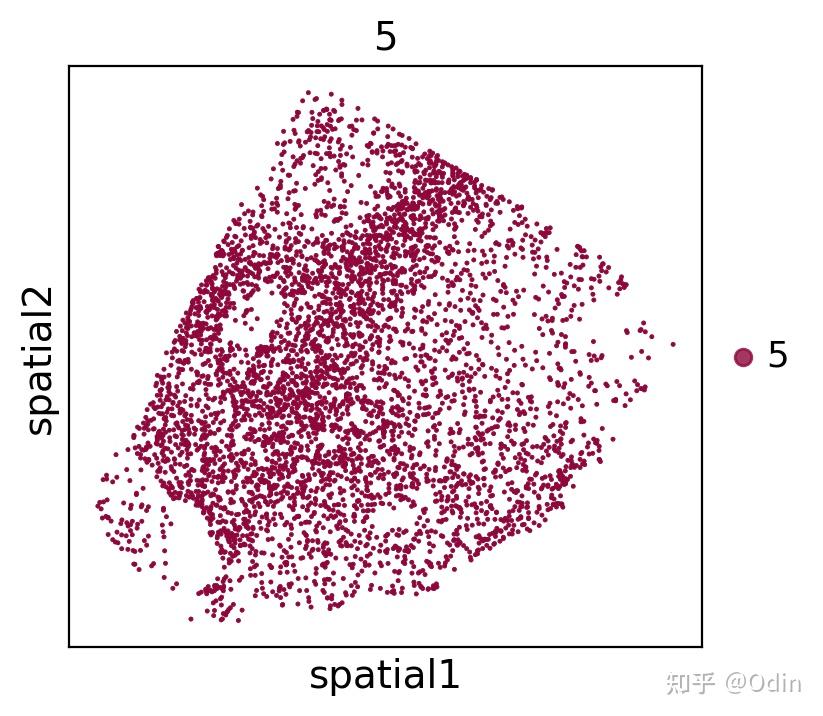 教程：用scanpy和squidpy分析单细胞空间转录组数据 - 知乎