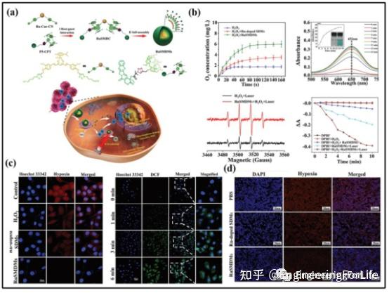 《AHM》综述：药物自给药系统--分子设计、构建策略及生物应用 - 知乎