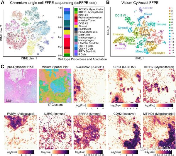 小白课堂 | 挑战不可能，FFPE样本该如何进行单细胞测序？ - 知乎