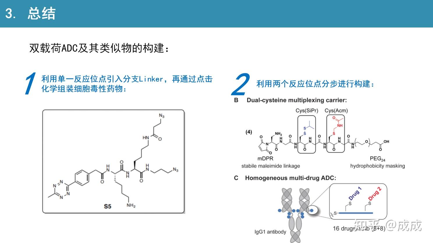双载荷ADC的构建思路| Antibody-drug conjugates with dual payloads - 知乎
