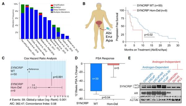 Cancer Cell︱美国德克萨斯大学西南医学中心牟平团队发现调控APOBEC基因突变和前列腺癌抗药性的新机制 - 知乎