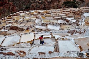 讲故事学英语系列：威尼斯商人和盐的故事 - 知乎