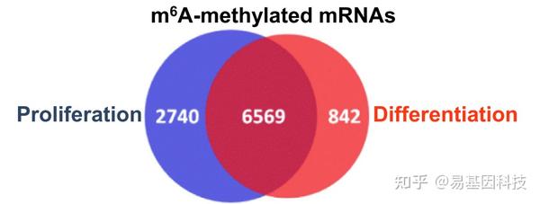 易基因｜m6A RNA甲基化研究的数据挖掘思路：干货系列 - 知乎