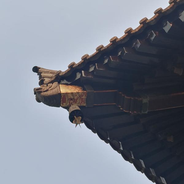 子夜歌 知乎