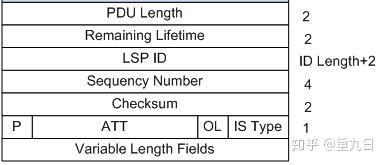 谈谈ISIS与OSPF的LSP和LSA - 知乎