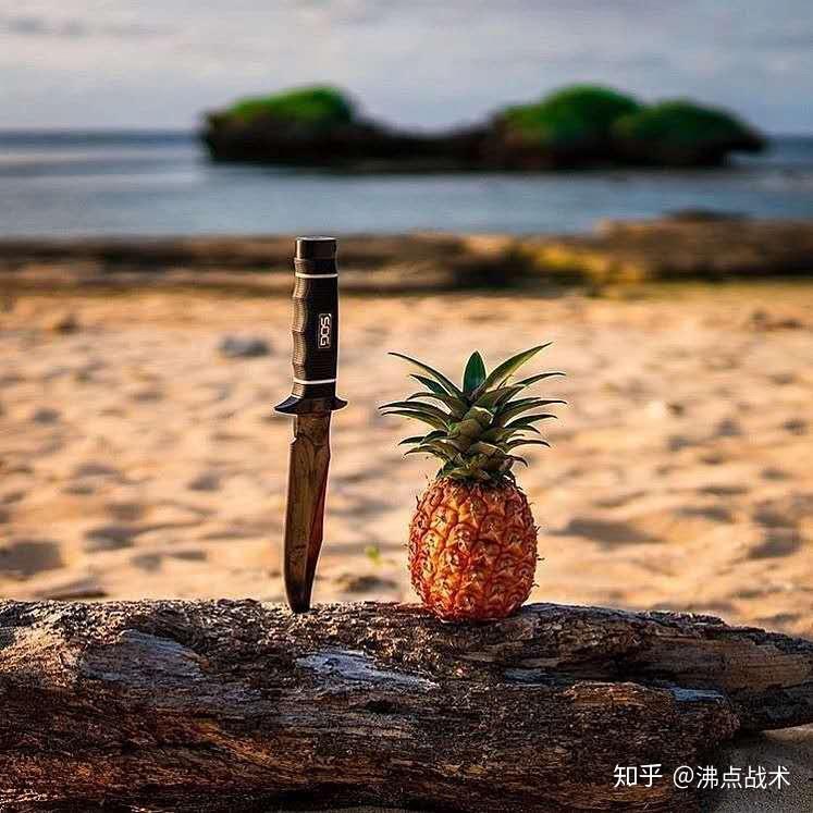 有一个品牌叫索格，有一种刀具名为SOG - 知乎