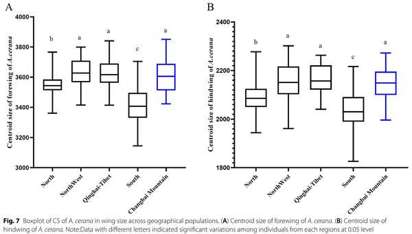 Geometric morphology and population genomics of Apis cerana in Changbai ...