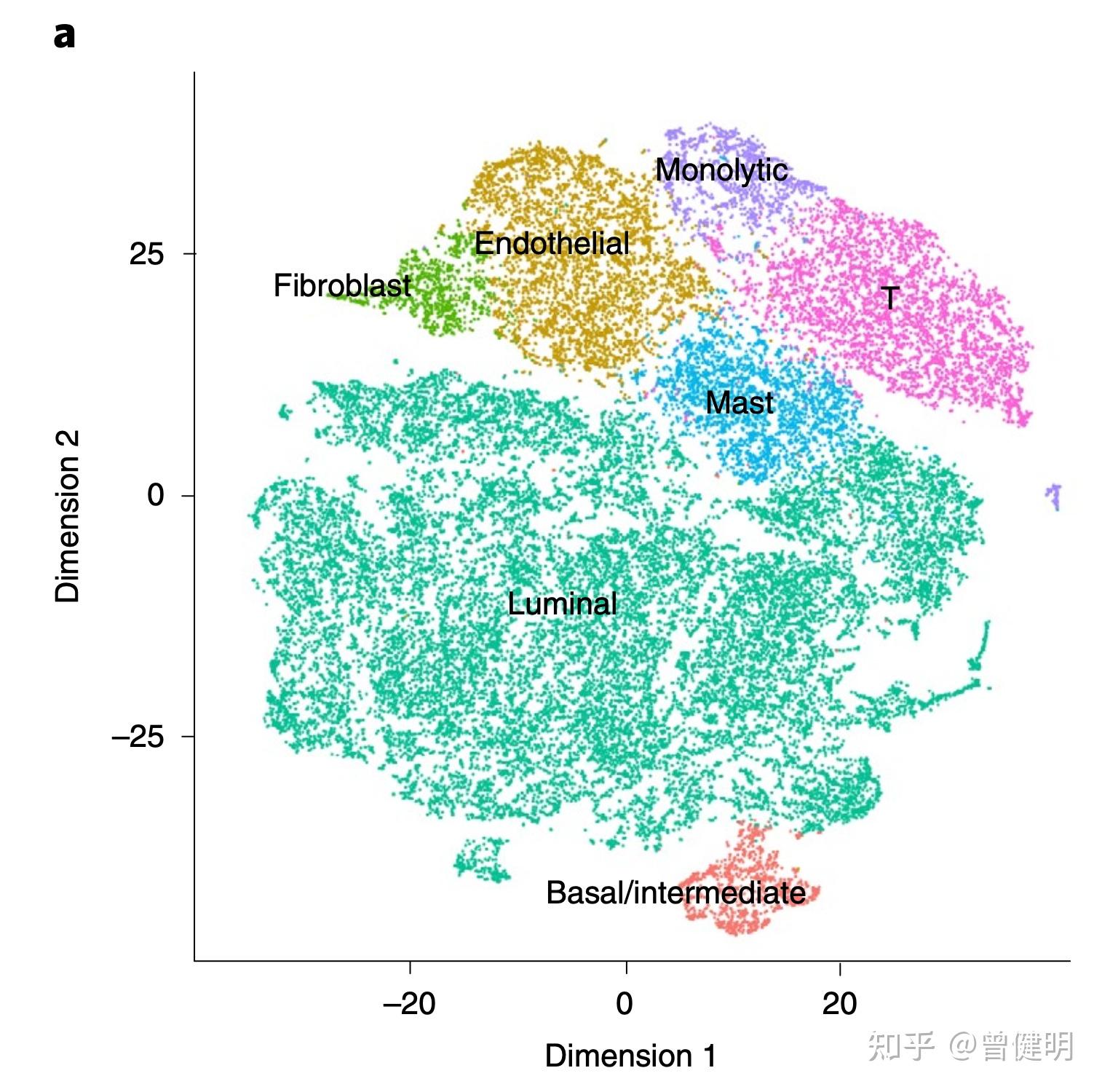 umap的单细胞可视化效果比tSNE好 - 知乎