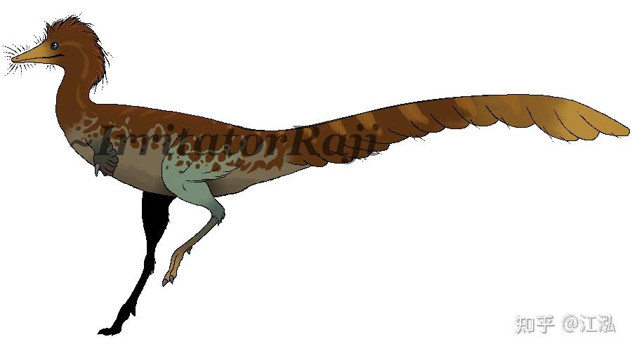 2021年新种恐龙（非鸟恐龙）大盘点！ - 知乎