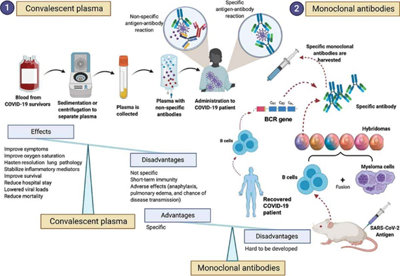 刊·见 | 医学领域期刊Expert Opinion on Biological Therapy，聚焦生物治疗新进展 - 知乎