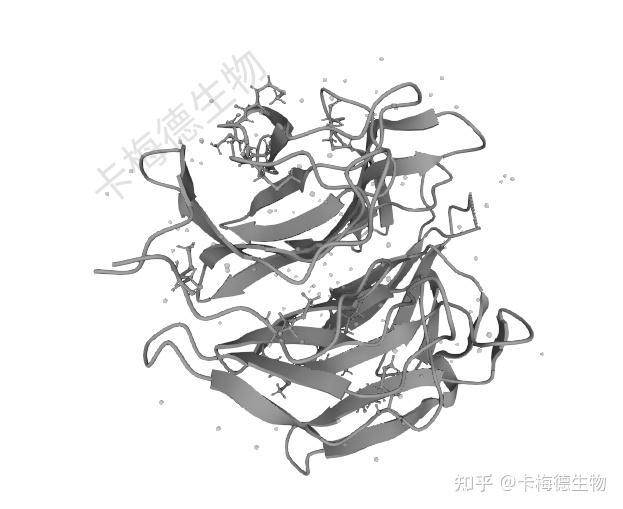 甲型（乙型）流感病毒（FluA、FluB）介绍 - 知乎