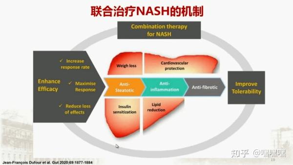 脂肪肝有福了——新型药治疗4周可改善NASH脂肪肝患者的肝脏炎症和损伤 - 知乎