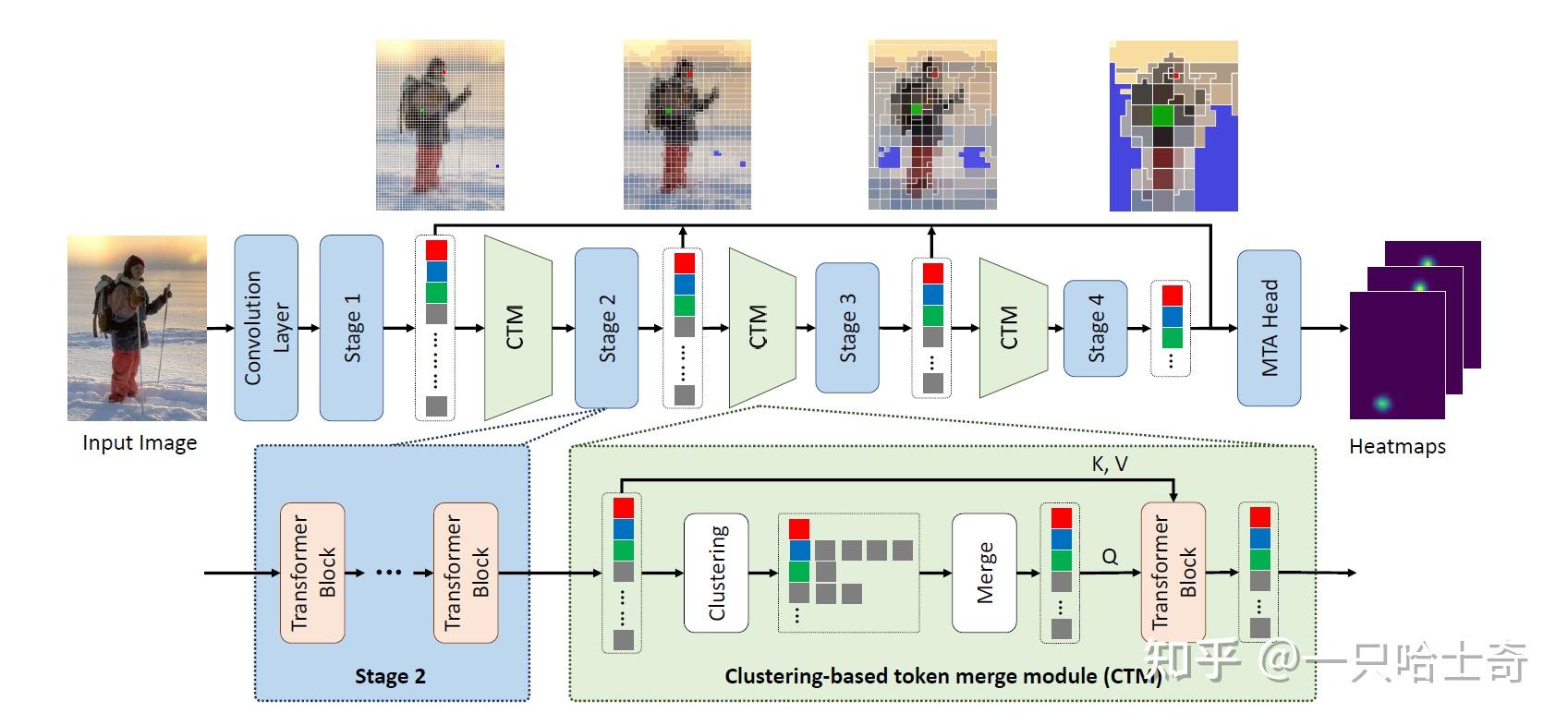 聚合token优化特征提取《Not All Tokens Are Equal Human-centricVisual Analysis via ...