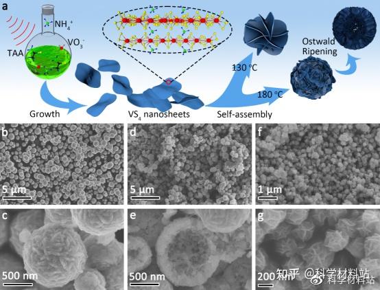 北理工曹传宝、朱有启ACS Nano观点：氨调控合成VS4纳米片用于高性能钠离子电池 - 知乎