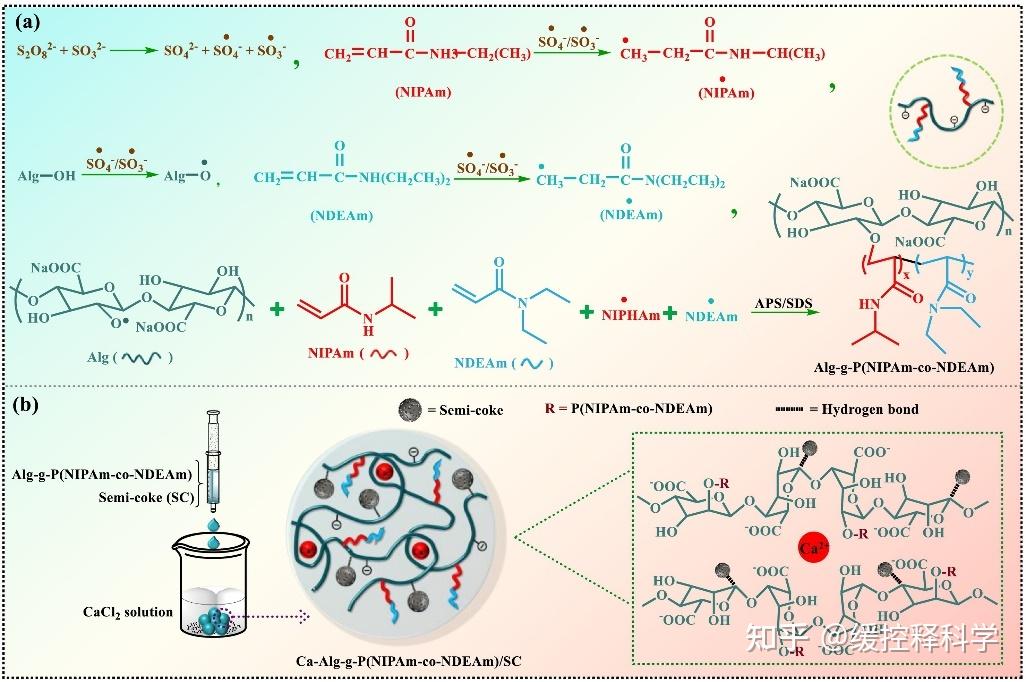 （58）长安大学 白波教授：多响应藻酸盐-g-P(NIPAm-co-NDEAm)基水凝胶的溶胀和草甘膦控释行为 - 知乎