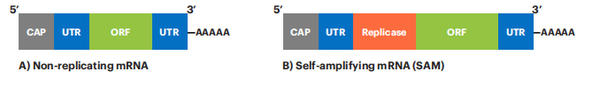 USP Analytical Procedures for mRNA Vaccine Quality 最新版解析 - 知乎