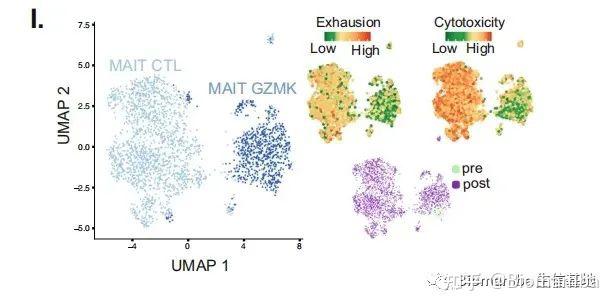 《Nature communication》：PD-1&急性髓细胞性白血病&T Cell - 知乎
