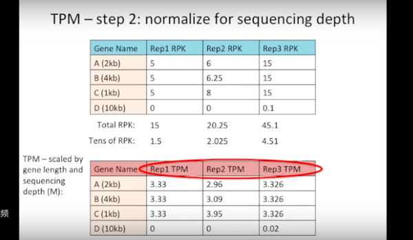 基因差异表达之一 - RPKM, FPKM, TPM, 傻傻分不清楚 - 知乎