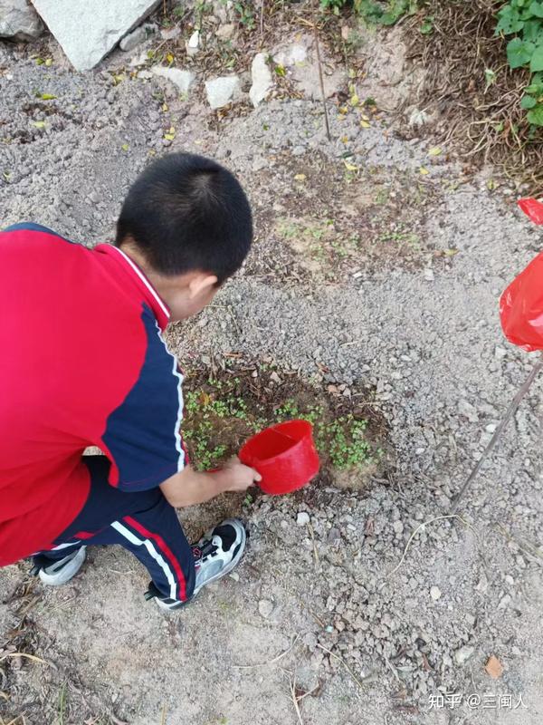 农村宝妈在家带娃能做什么赚钱 知乎