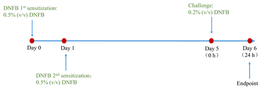干货！热门模型分享：如何建立迟发型超敏反应（DTH）小鼠模型？ - 知乎