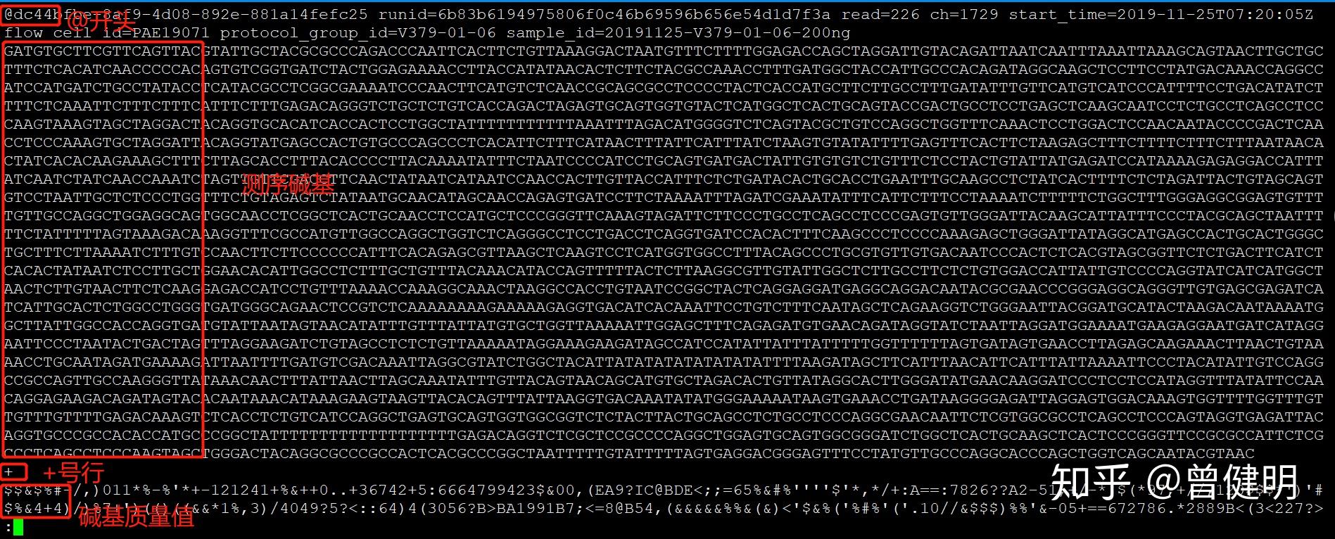 fast5和fastq格式 - 知乎