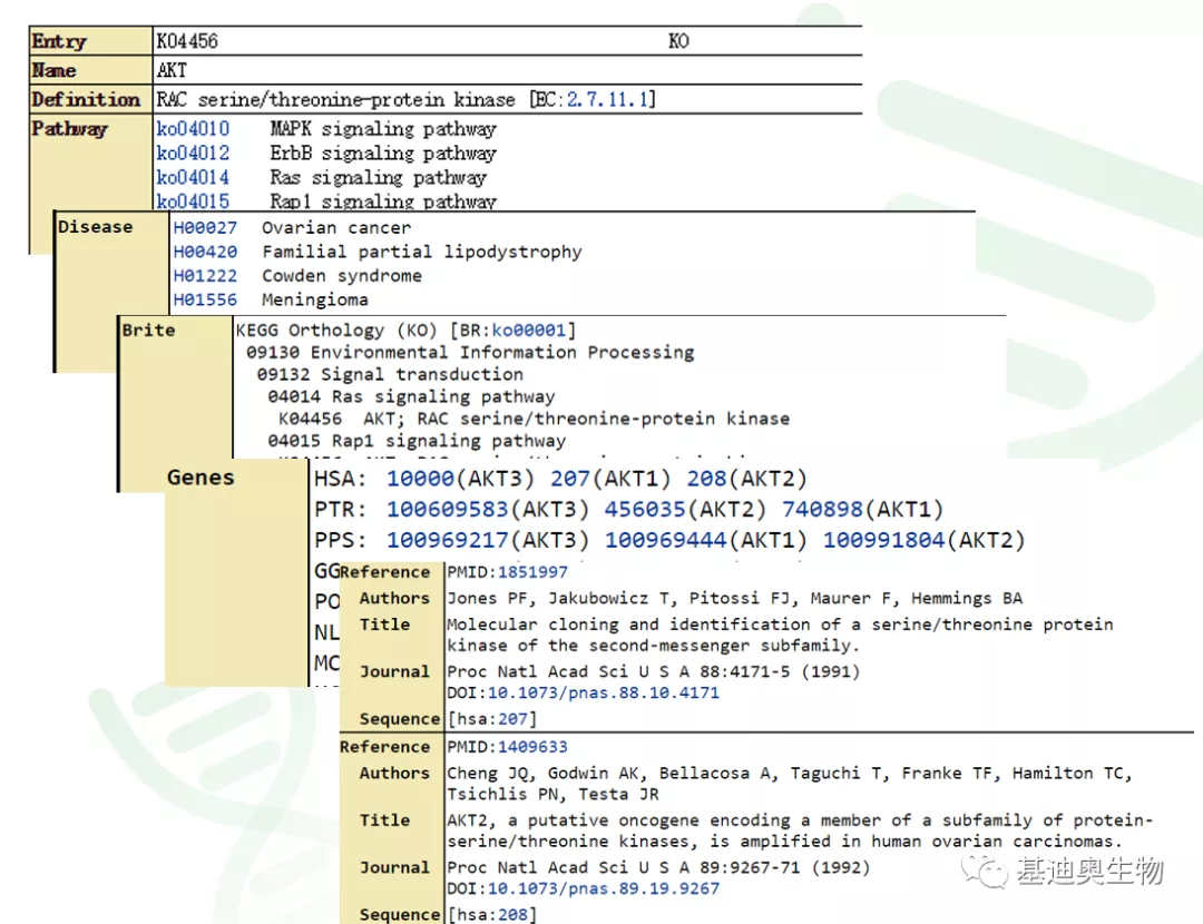如何看懂KEGG通路图？ - 知乎