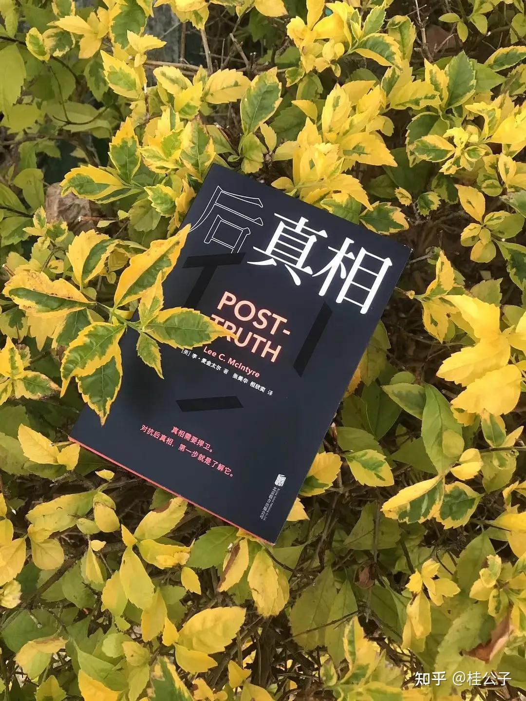 "后真相时代“，盘点“后真相”