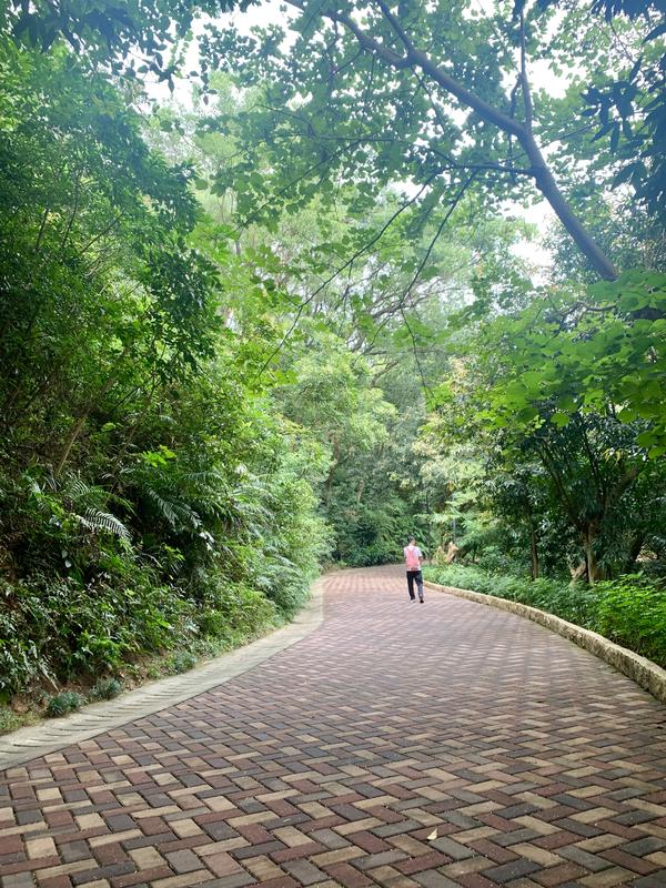 深圳仙湖植物园 知乎