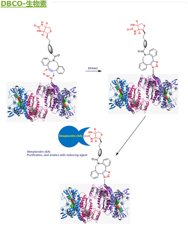 Click反应学习总结01-无铜点击反应 - 知乎